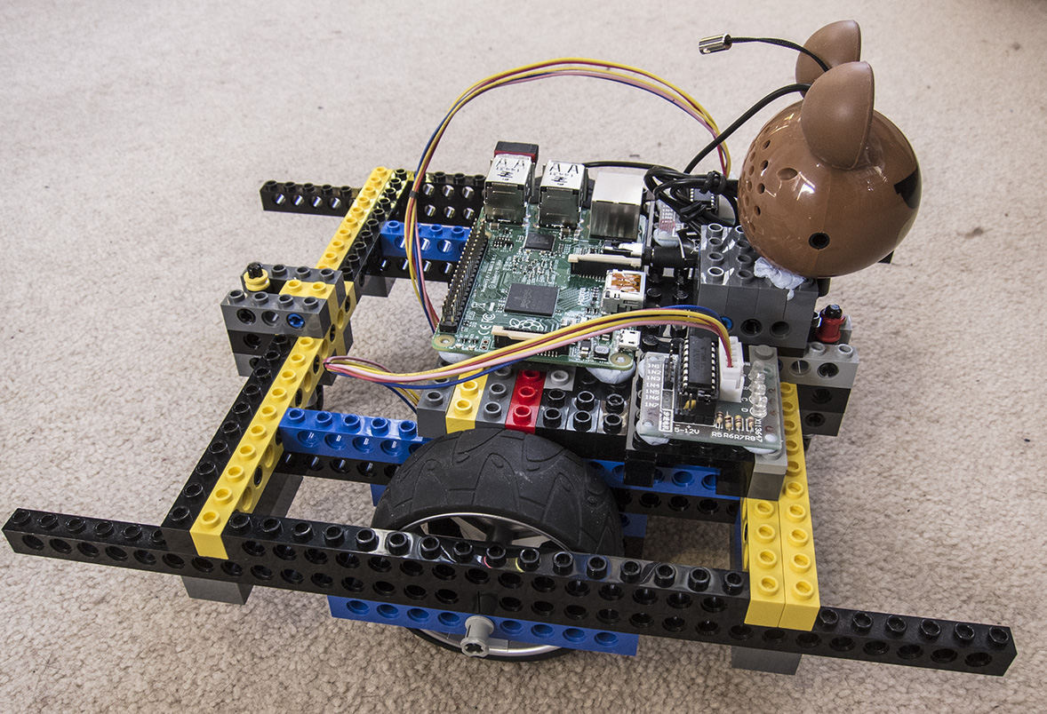 Sidmouth Robots Amanda