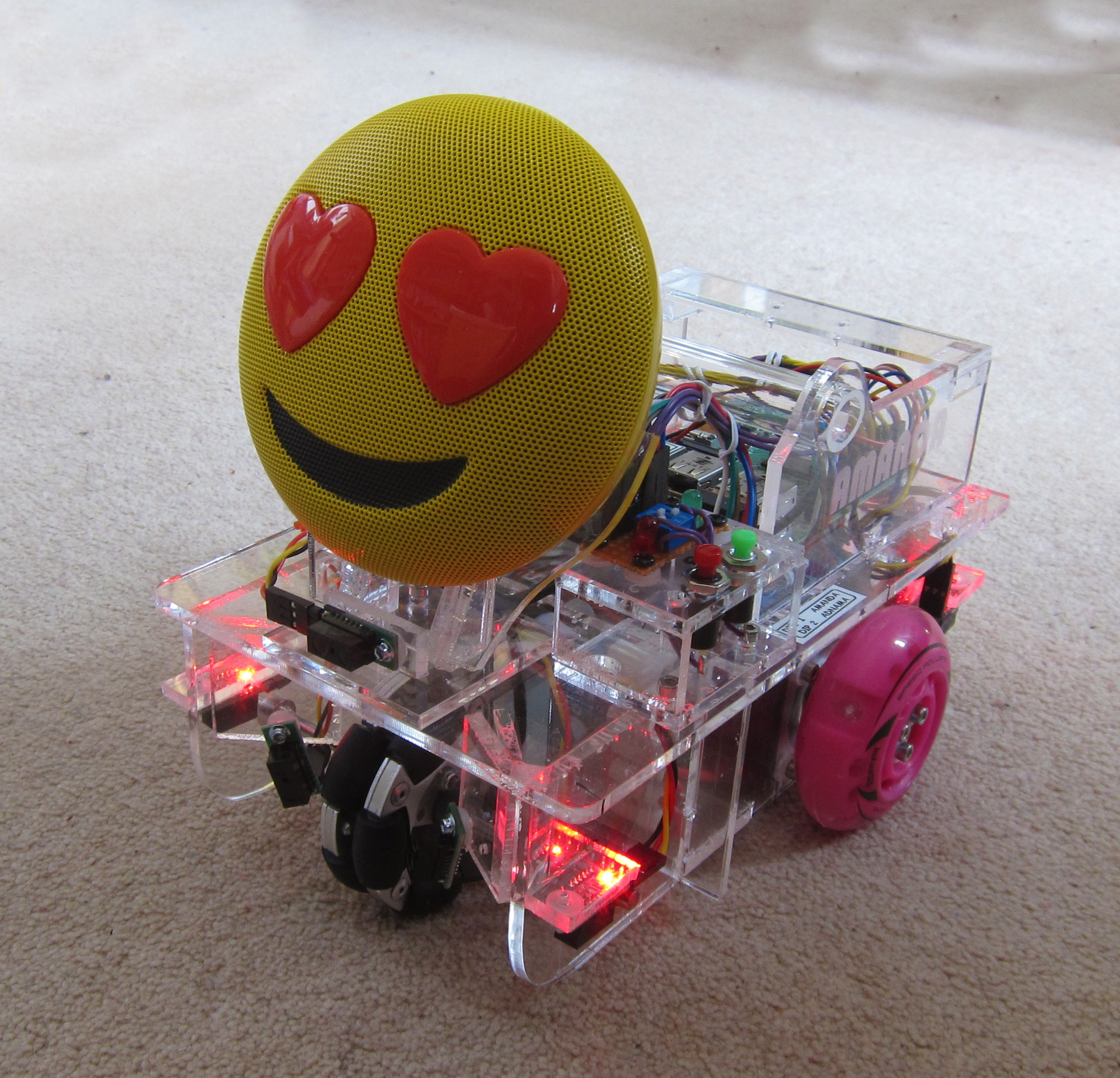 Sidmouth Robots Amanda